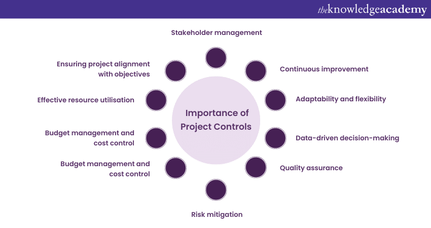 What are Project Controls? A Complete Guide